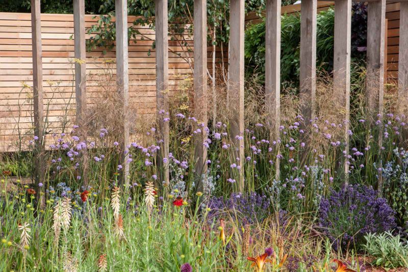 Garden Screen And Privacy Ideas | Tony Woods.