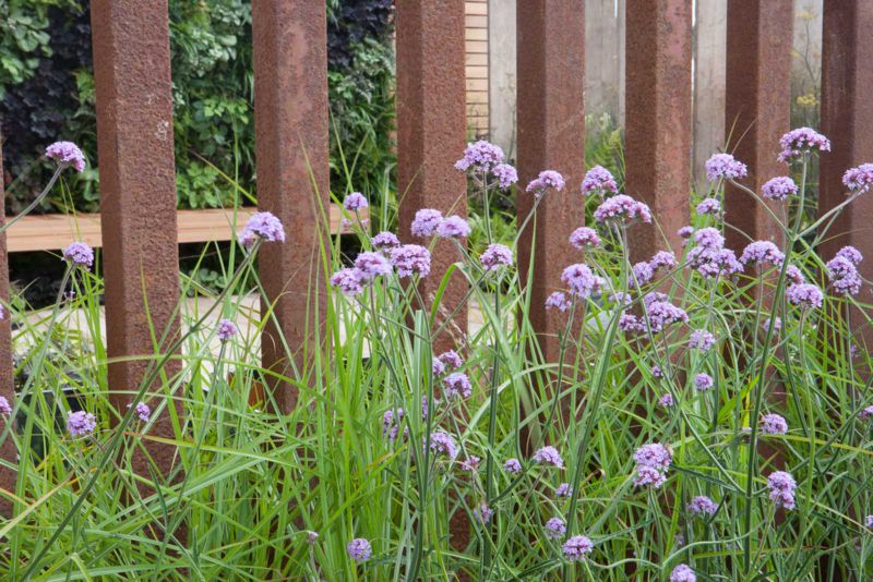 Garden Screen And Privacy Ideas | Tony Woods.